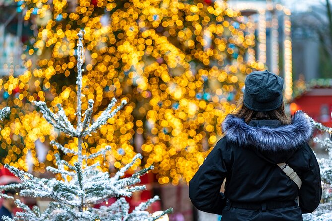 Private Photography Portraits City Activity in Copenhagen - Analyzing the Cost and Value