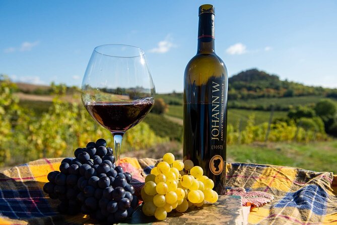 Private PICNIC in Bohemian Vineyards and Wine Tasting 4WD Tour - Discovering a Different Side of Czechia
