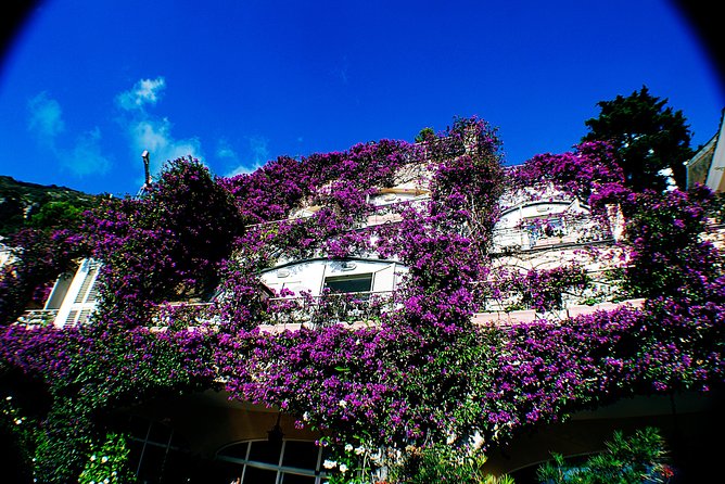 Private Pompeii, Sorrento & Mozzarella Making Tour from Naples - Why Choose This Tour?