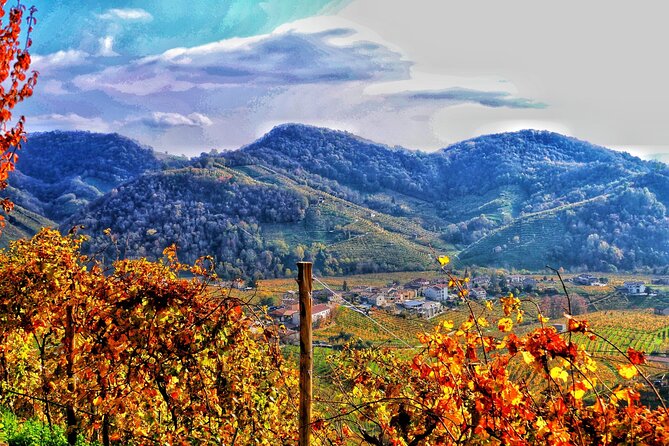 Private Prosecco Tour, with a certified Sommelier - Exploring the Itinerary: What You Can Expect