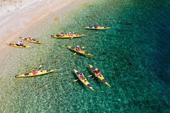 Private River & Sea Kayaking with Snorkeling in Omi - Key Points