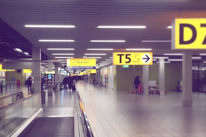 Private Rotterdam Cruise Port Departure Transfer to AMS Schiphol Airport - Key Points