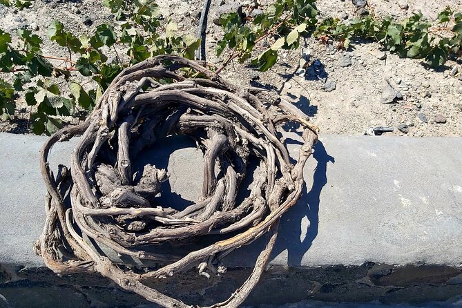 Private Santorini Wine Tasting Tour, 3 Wineries and Light Bites - A Deep Dive into the Santorini Wine Tasting Experience