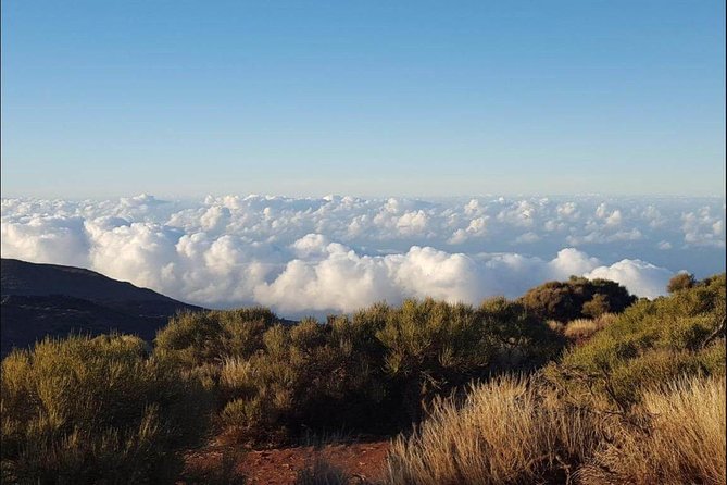 Private Shore Excursion in Tenerife from your Cruise Ship - Key Points