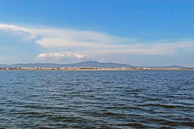 Private Sightseeing Boat Tour in Ria Formosa at Olhão - Key Points