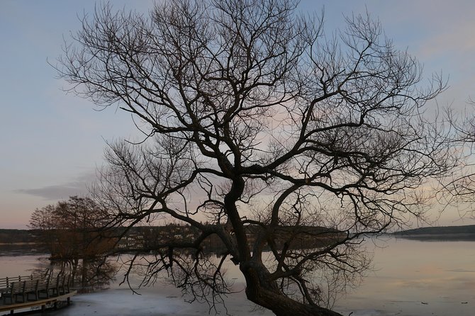 Private Sigtuna Tour from Stockholm - Oldest Town of Sweden - A Detailed Look at the Itinerary