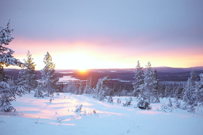 Private: Snowshoeing Safari in spectacular National Park - Discovering the Arctic on a Snowshoe Safari