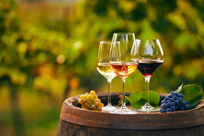Private Tailored Full-Day Taste Tour in Lefkada with Pick Up - A Closer Look at the Full-Day Lefkada Experience