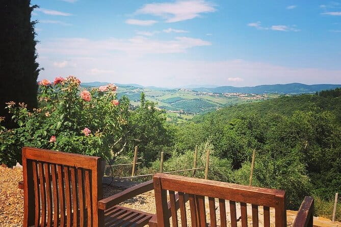 Private Top Brunello Montalcino Wine Tour & Food Pairing Session - An Overview of the Experience