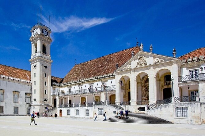 Private Tour: Aveiro and Coimbra with Lunch and Boat Cruise - A Deep Dive into the Experience