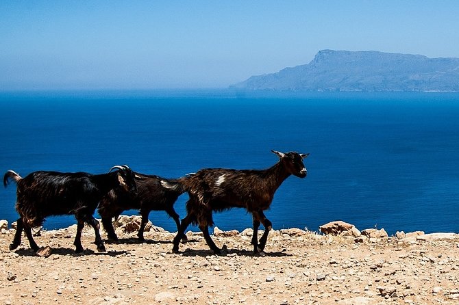 PRIVATE TOUR by 4x4 to Balos lagoon and Falassarna beach - A Deep Dive Into the Experience