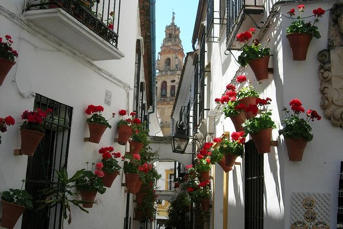 Private Tour: Cordoba Walking Tour with Skip-the-line Tickets - Practical Details and Value