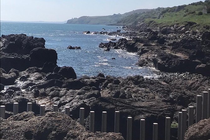 Private Tour - Giants Causeway & 2 Stop Tour - The Private Tour Experience: What Travelers Can Expect