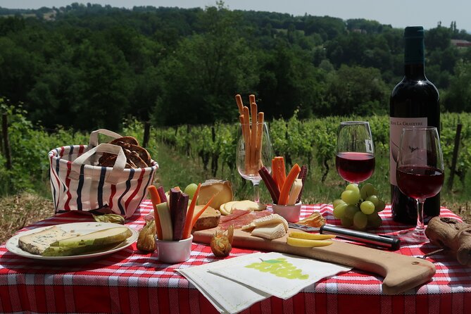 Private Tour in 2cv in the Vineyards with Tasting and Picnic - Authenticity and Personal Touches