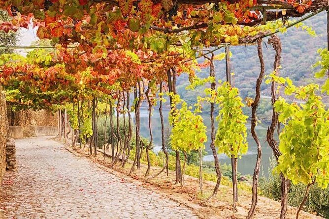 Private Tour in Douro - Value and Pricing: Is It Worth It?