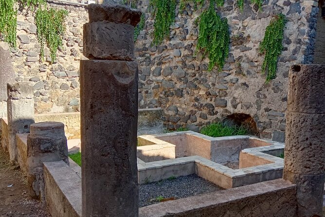 Private Tour in Herculaneum with an authorized guide - Key Points