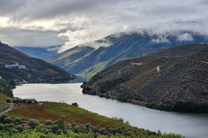 Private Tour in the Douro with Family Vineyards and Miradouro - A Closer Look at the Tour Experience