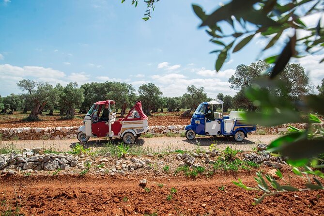 Private Tour in the Itria Valley - An Authentic Experience in the Itria Valley
