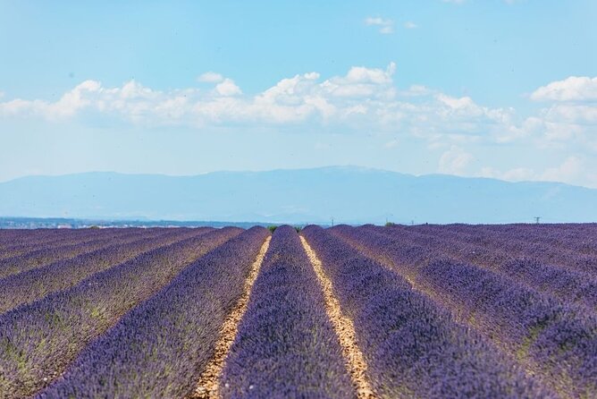 Private Tour of Gorges of Verdon and Fields of Lavender in Nice - Transportation and Group Size