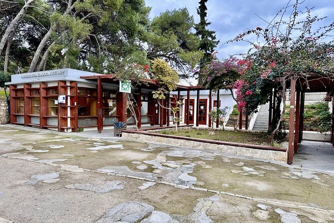 Private Tour of Knossos, Archaeological Museum & Heraklion Town - Final Thoughts: Who Will Love This Tour?