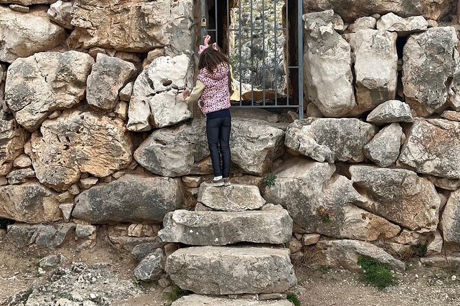 Private Tour on the Mythical Argolis and Ancient Epidaurus - Overview of the Tour Experience