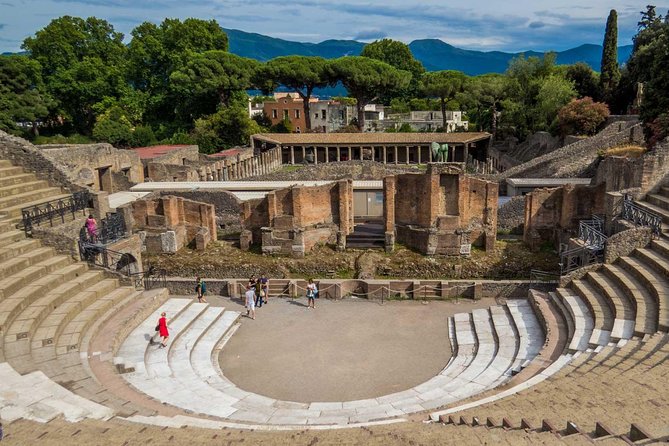 Private Tour: Pompeii Tour with Family Tour Option - Exploring Pompeii with a Private Guide: What to Expect