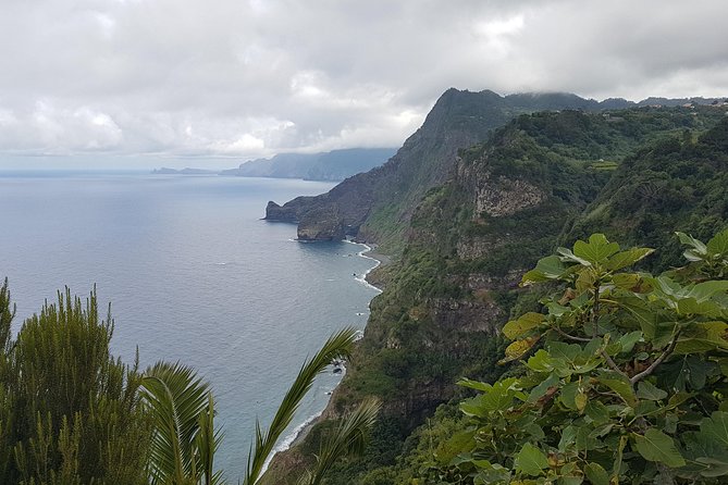 Private Tour The Biosphere Santana - An Insider’s Guide to the Santana Biosphere Tour