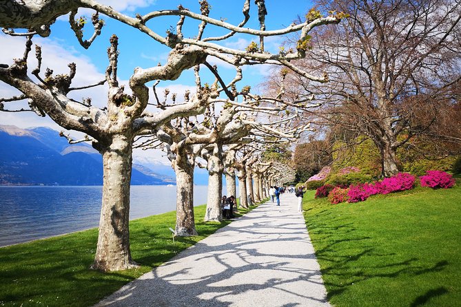 Private Tour to Bellagio and Lake Como from Stresa - Key Points