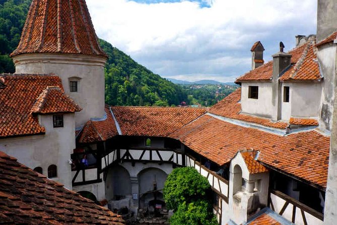Private Tour to Dracula's Castle, Peles Castle from Bucharest - Practical Insights: What to Expect