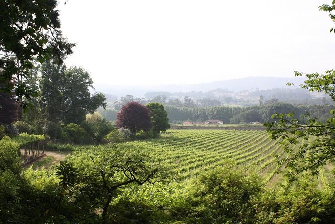 Private tour to Ponte de Lima, Vinho Verde region - Discovering Ponte de Lima: A Picture of Charm and History