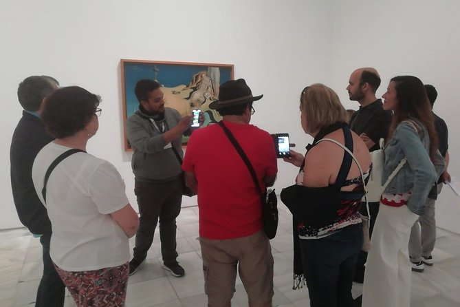Private Tour to Reina Sofía Museum - Exploring the Reina Sofía Museum with a Private Guide