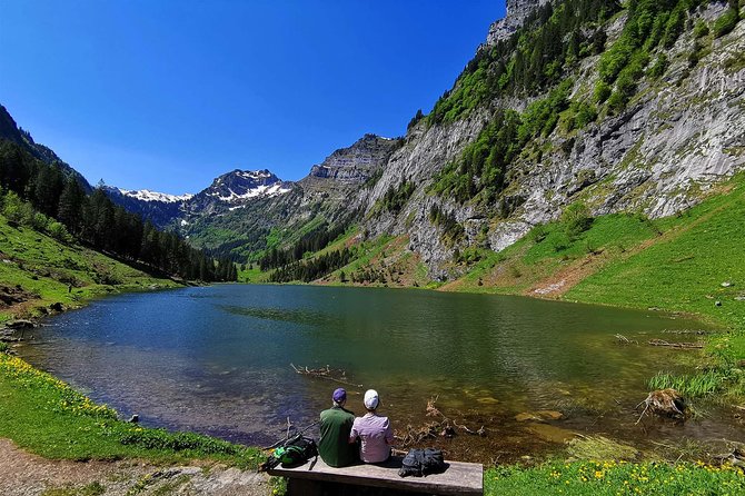 Private tour to the most breathtaking insider spots in Switzerland (1 day) - Final Thoughts: Is This Tour Right for You?