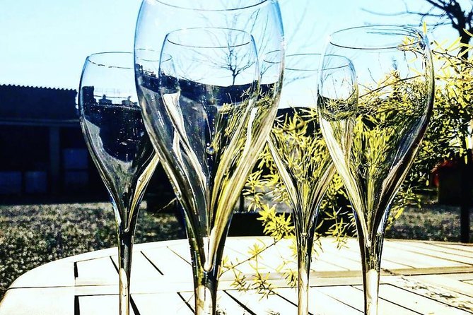 Private Tour: Top Three Organic Wineries & Local Lunch Included - Discovering the Penedès: An Ancient Wine Region