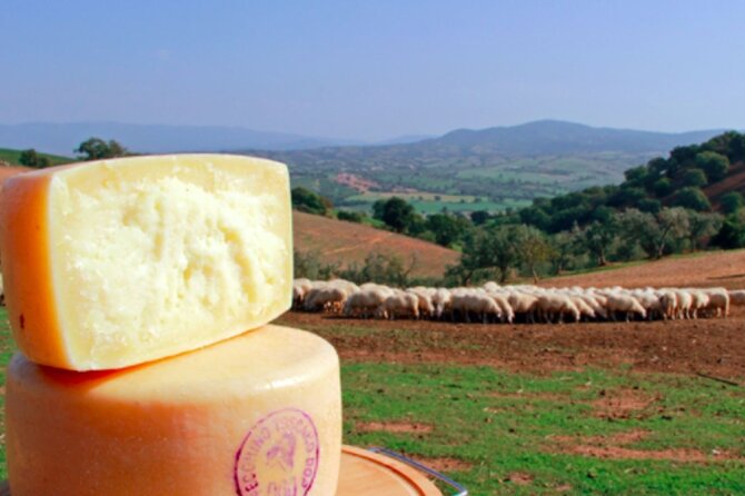 Private tour Wine and cheese a perfect combinations val 'Orcia - Exploring Tuscany’s Culinary and Scenic Highlights in Comfort