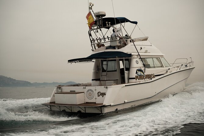 Private Tour with Dolphin Watching in Algeciras Bay - What makes this tour special?
