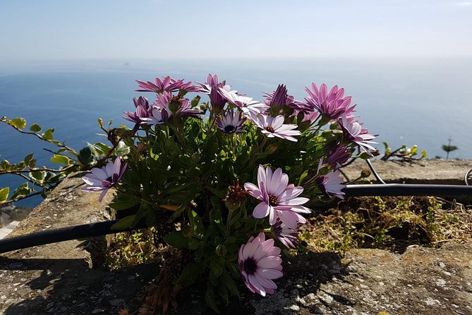 Private Transfer from Naples to Positano - A Detailed Look at the Experience