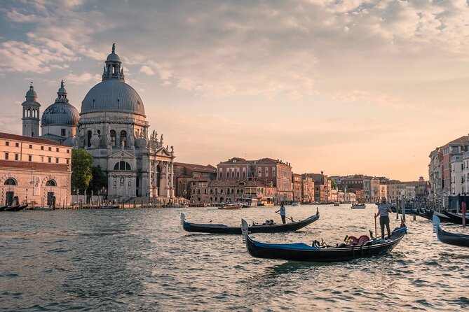 Private Transfer from Ravenna Cruise Terminal to Venice Airport - Punctuality and Reliability