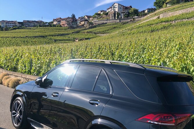 Private transfer Zurich to Basel (1-6 persons) - Why This Private Transfer Works for Travelers