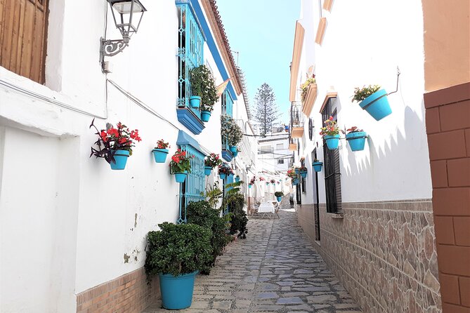 Private Trip in Gibraltar and Estepona from Marbella - In-Depth Look at the Itinerary and Experience