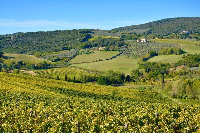 Private Tuscany Day Tour: Siena and Chianti Wine Region from Florence - Why This Tour Stands Out