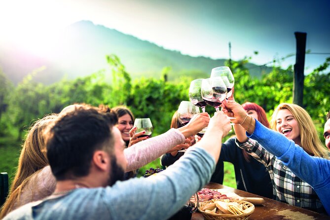 Private Valpolicella Day Trip from Venice: Wine Tasting and Verona - Who Is This Tour Best For?