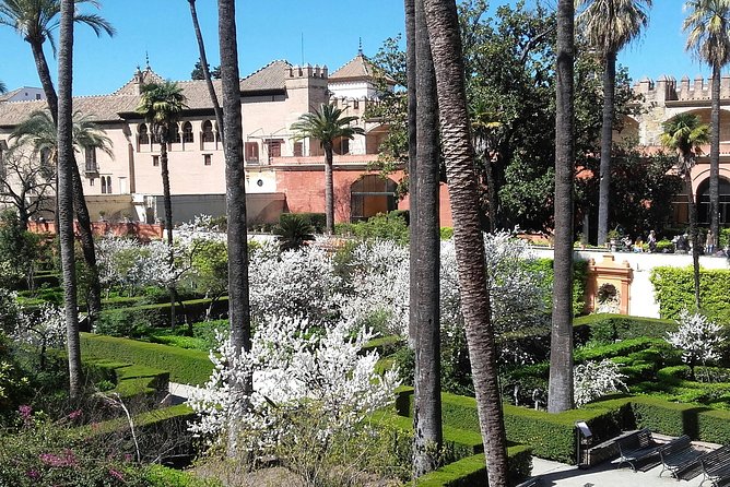 Private visit Cathedral and Royal Alcazares of Seville - Why This Tour Offers Excellent Value