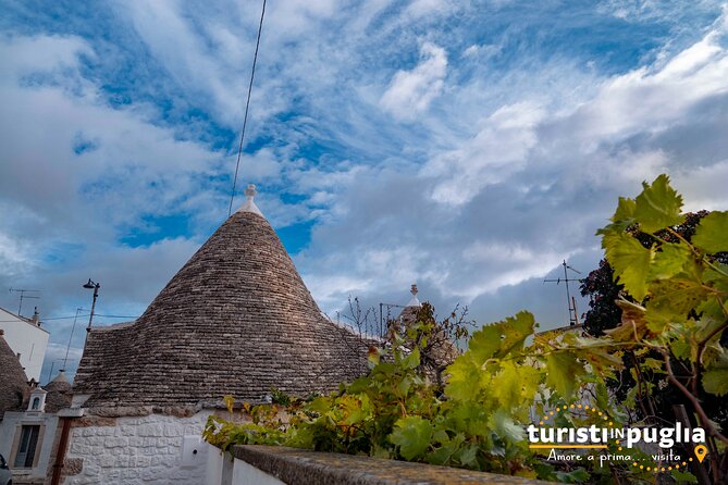 Private walking tour in Alberobello - Why This Tour is a Must-Do
