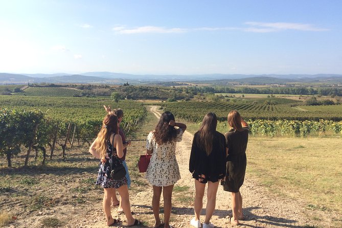 Private Wine day tour from Carcassonne and around. - The Itinerary in Detail