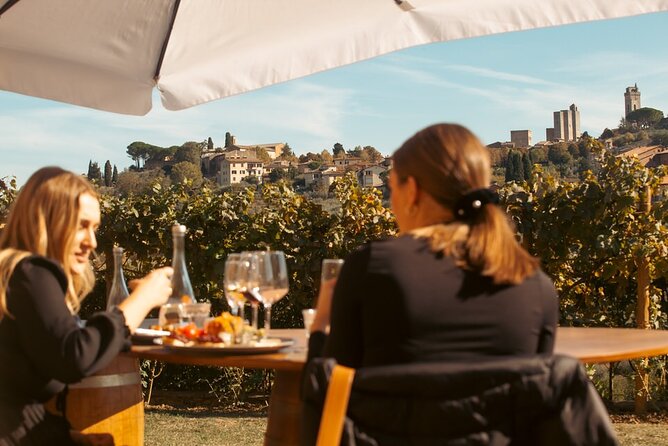 Private Wine & Evo oil tasting with Truffle Meal - Final Thoughts: Who Will Love This Tour?