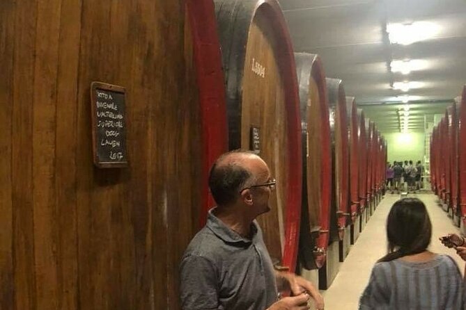 Private Wine Tour: Terraced Vineyards with Alpine view from Milan - A Flexible Lunch and Leisurely Drive