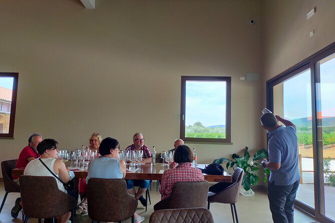 Private wine tour with sommelier - the magical Bolgheri (2 wineries) - Whats Included and What You Should Consider