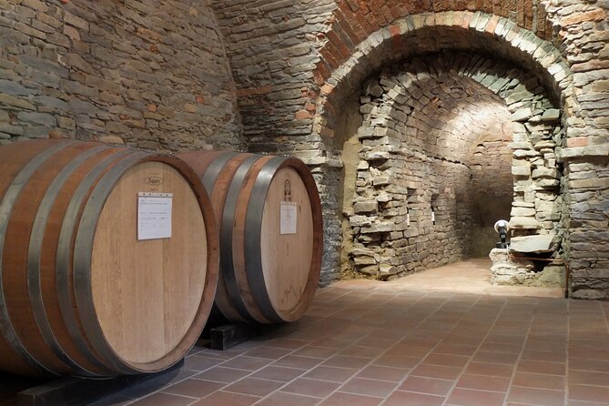 Private Winery and Vineyard Tour with Wine Tasting - Setting the Scene: What to Expect