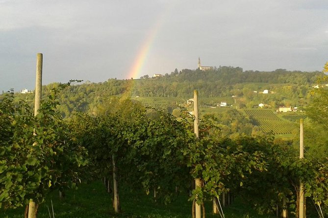 Prosecco Wine Tour. Full day from Venice - An In-Depth Look at the Tour Experience