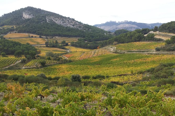 Provence Cru Wine Small-Group Half-Day Tour from Avignon - Key Points